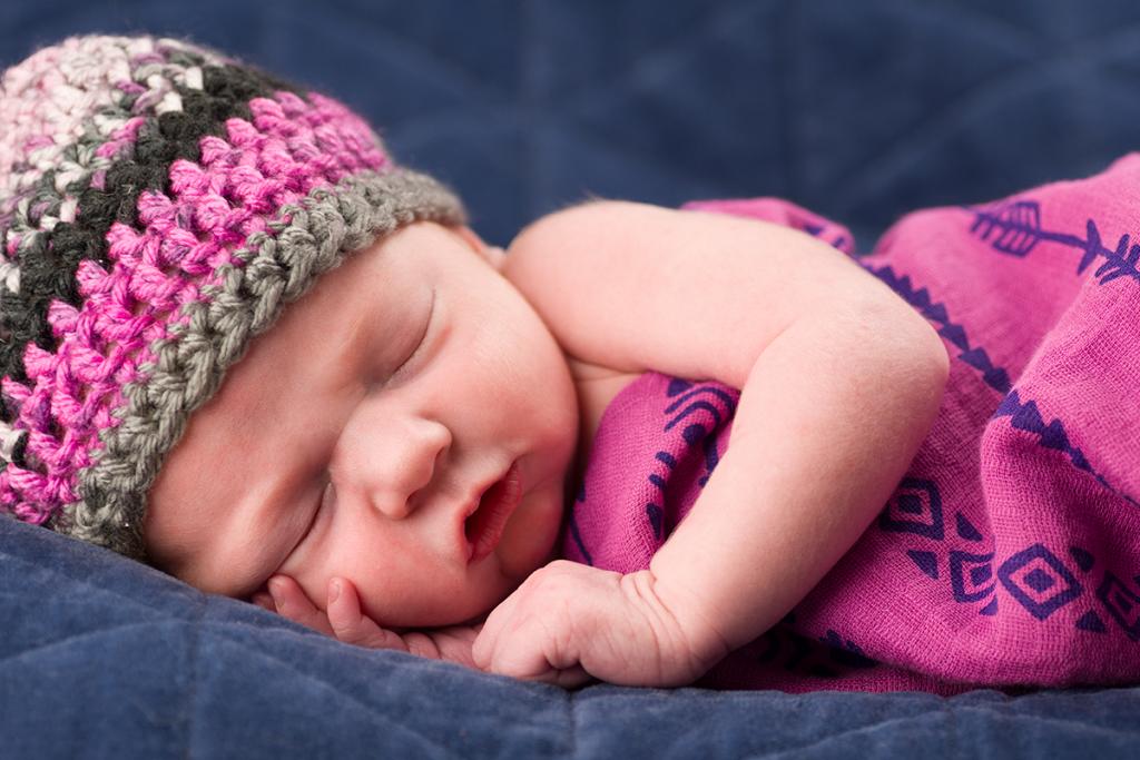 Competition Gallery | La Crosse Area Camera Club